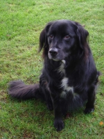 John Chao - Official Website